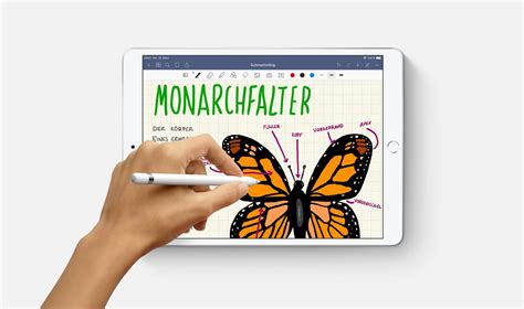 iPad-Kaufberatung: Welches iPad 2019 kaufen? | Mac Life