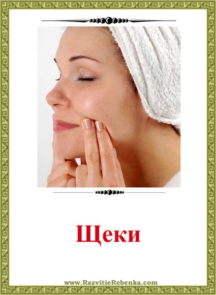 Карточки Части тела Человека