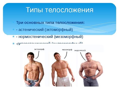 Тренировки и питание по типу телосложения: эктоморф, мезоморф, эндоморф