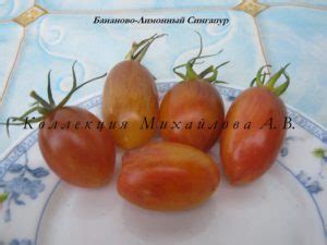 Бананово-Лимонный Сингапур