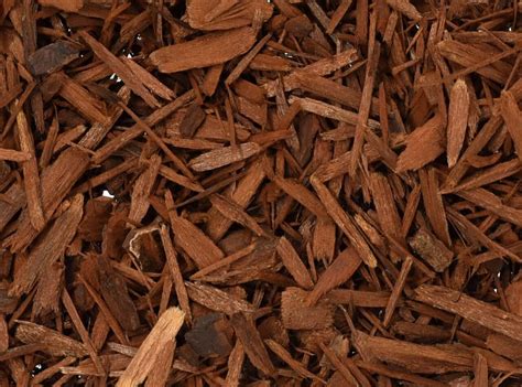 Yohimbe / Yohimbine: Benefits, Uses & Side Effects - Prestige Men's Medical
