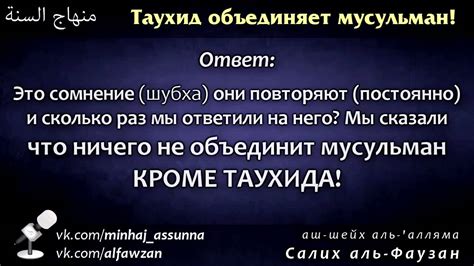Шейх Фаузан: ТАУХИД объединяет мусульман! - YouTube