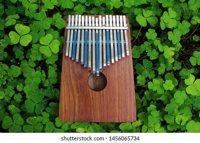 Malimbe Images, Stock Photos & Vectors | Shutterstock