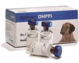 Nobivac® DHPPi - MSD Animal Health India