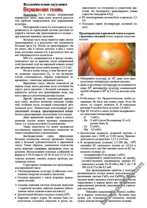 Кальций для помидор, подкормка помидор кальцием