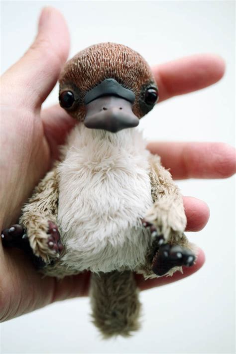 Platypus | Etsy