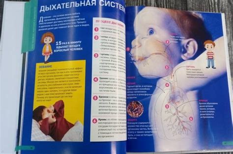 Книга: Человеческое тело. Энциклопедия для мальчиков и девочек ...