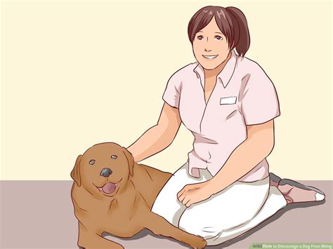 Why Does My Dog Keep On Biting Me at Hector Dwight blog