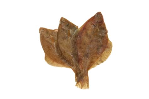 Schar 1 kg - Vishandel Hartevelt B.V.