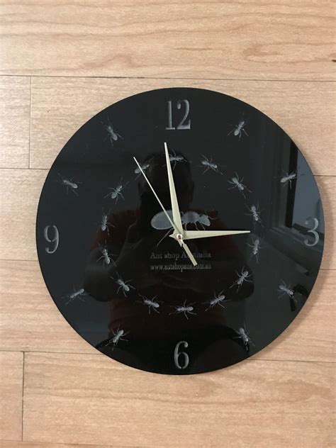 Ant Clock wall mounted – Ant Shop Australia