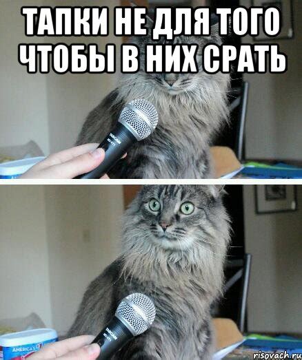 тапки не для того чтобы в них срать , Комикс кот с микрофоном - Рисовач .Ру