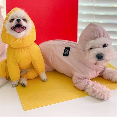 Одежда для собак - интернет-магазин Crystaldog