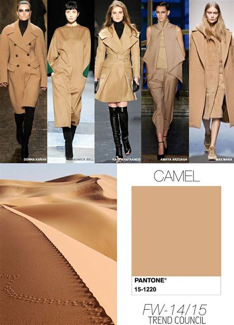 Pin by Caitlyn Murphy on FW14/15 | Winter trends, Fall 2014 fashion ...