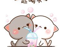 140 Mitao cats ideas | kawaii drawings, cute drawings, cute cartoon ...