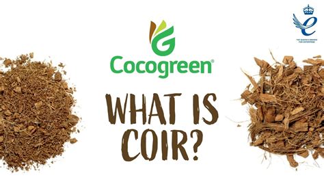 Cocogreen - Home | Facebook