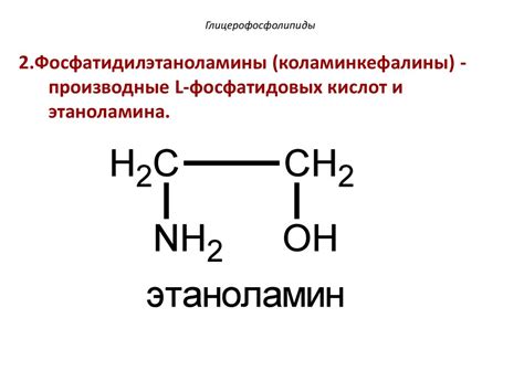 Липиды. Общая характеристика липидов - презентация онлайн