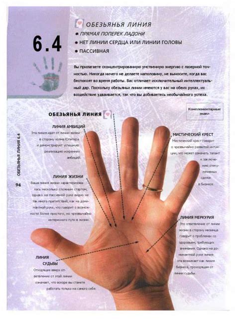 Браслеты на руках хиромантия значение линий для начинающих - 91 фото