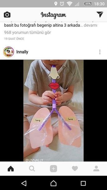 Science experiment | Preschool science, Science for kids, Science ...