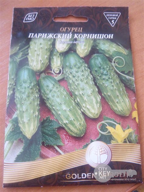 Огурцы сын полка: описание и характеристика сорта, отзывы садоводов с фото