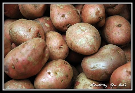 Potatoes | Vincent Tan | Flickr