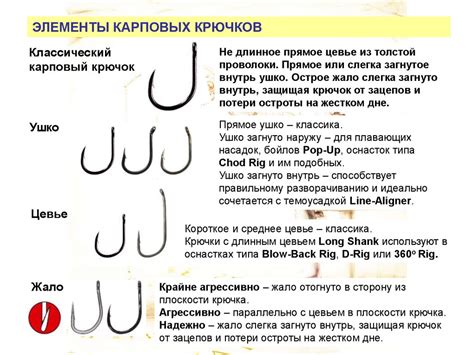 Карповые монтажи - презентация онлайн