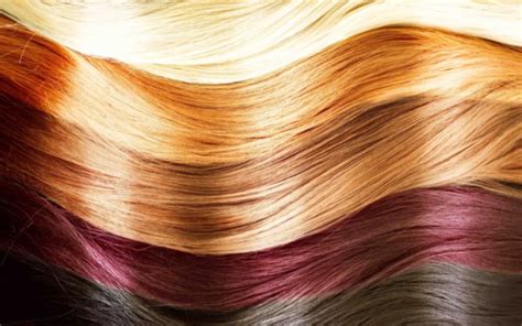 Купить продукты для окрашивания волос Gamma Perfect Color | Natura Vita
