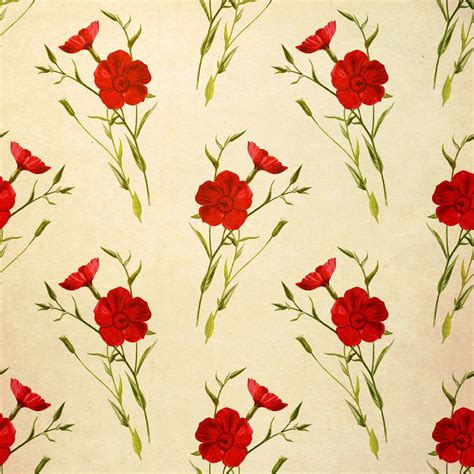 Flowers Red Floral Wallpaper Free Stock Photo - Public Domain Pictures