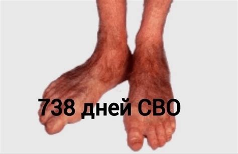 Ответы Mail: Как почесать слона за ухо