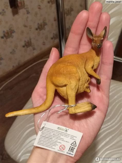Gulliver Collecta Красный кенгуру - «Наш очередной друг!)» | отзывы