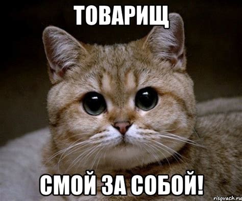 товарищ смой за собой!, Мем Пидрила Ебаная - Рисовач .Ру