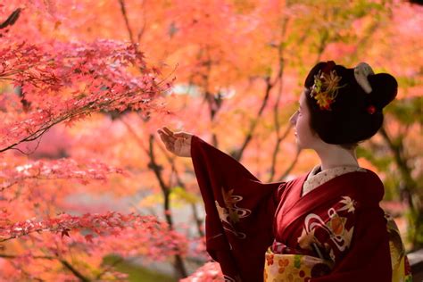 112 Types of Natural Colors - Simplicable