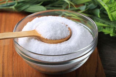 All the Stevia Pros and Cons You Should Know Before Using It | livestrong
