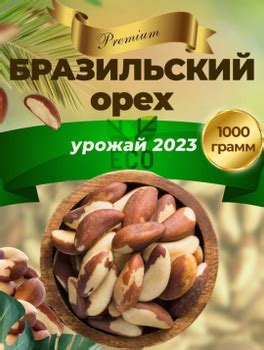 Бразильские орехи 1 кг — купить в интернет-магазине OZON по выгодной цене