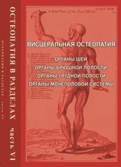 Книги по остеопатии - купить, цена по АКЦИИ!