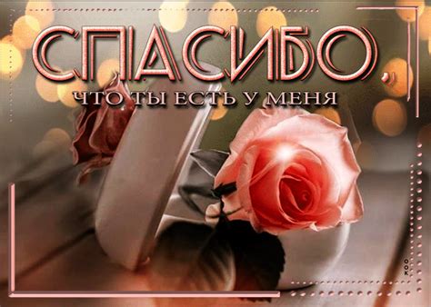 Превосходная открытка Спасибо, что ты есть у меня!- Скачать бесплатно ...