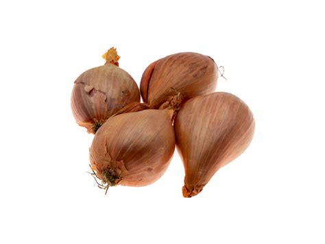 Zwiebeln-Knoblauch – Braun Früchte & Gemüse AG