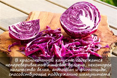 Капуста краснокочанная - калорийность, полезные свойства, польза и вред ...