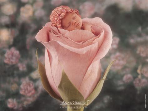 anne geddes