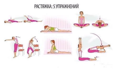 Упражнения для седалищного нерва: польза, показания, виды и техника ...