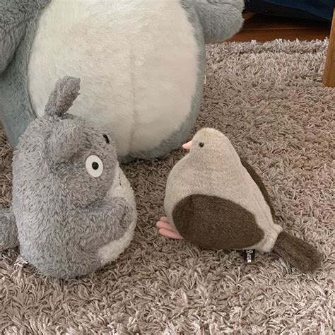 Cute Totoro Plushie | Totoro plush, Totoro, Craft gifts