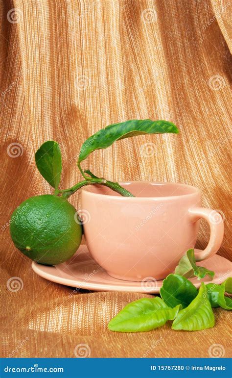Bergamot tea stock photo. Image of mediterranean, sour - 15767280