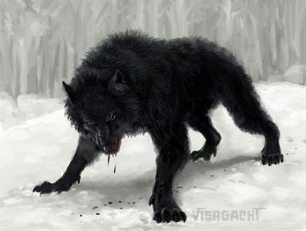 Фото Черный волк с окровавленной пастью стоит на снегу, by Viergacht