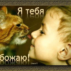 Виртуальная открытка Я Тебя Обожаю