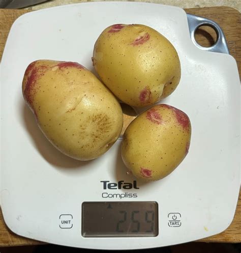 Сорт позднеспелой картошки Пикассо - КРАМАР БЛОГ