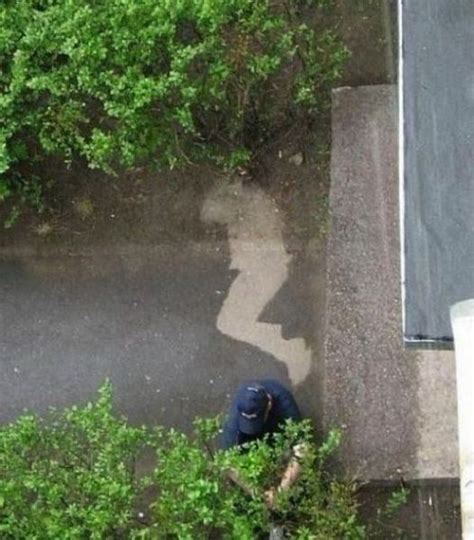 Odd and Unconventional Sleeping Places (31 pics + 2 gifs) - Izismile.com