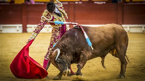 El Torero - Borja Ximelis
