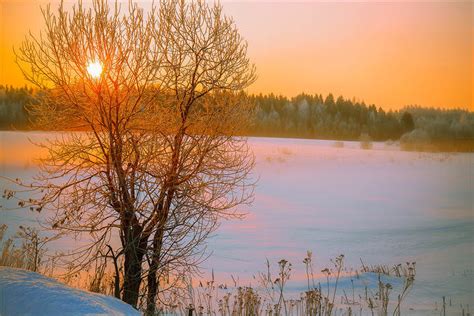 На рассвете... | Фотосайт СуперСнимки.Ру