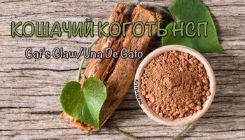 Дикий Ямс НСП инструкция применения. Дикий ямс нсп при климаксе и не только