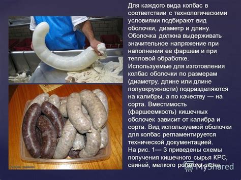 Презентация на тему: "Натуральные колбасные оболочки Выполнил: студент ...