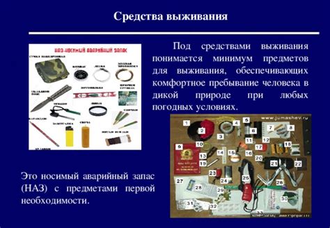 Презентация "Автономное пребывание человека в природной среде"